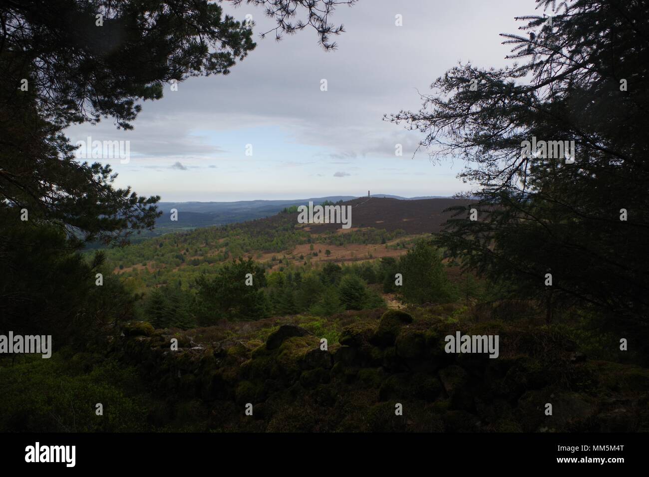 Scolty Tower, Scolty Woodland Park, Banchory, Aberdeenshire. May, 2018 ...