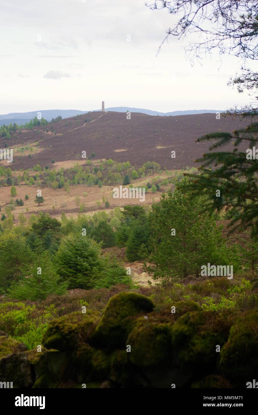 Napoleonic watch tower hi-res stock photography and images - Alamy