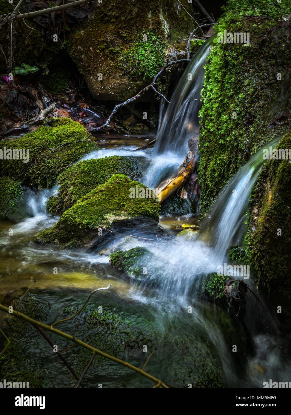 stream into moss Stock Photo - Alamy