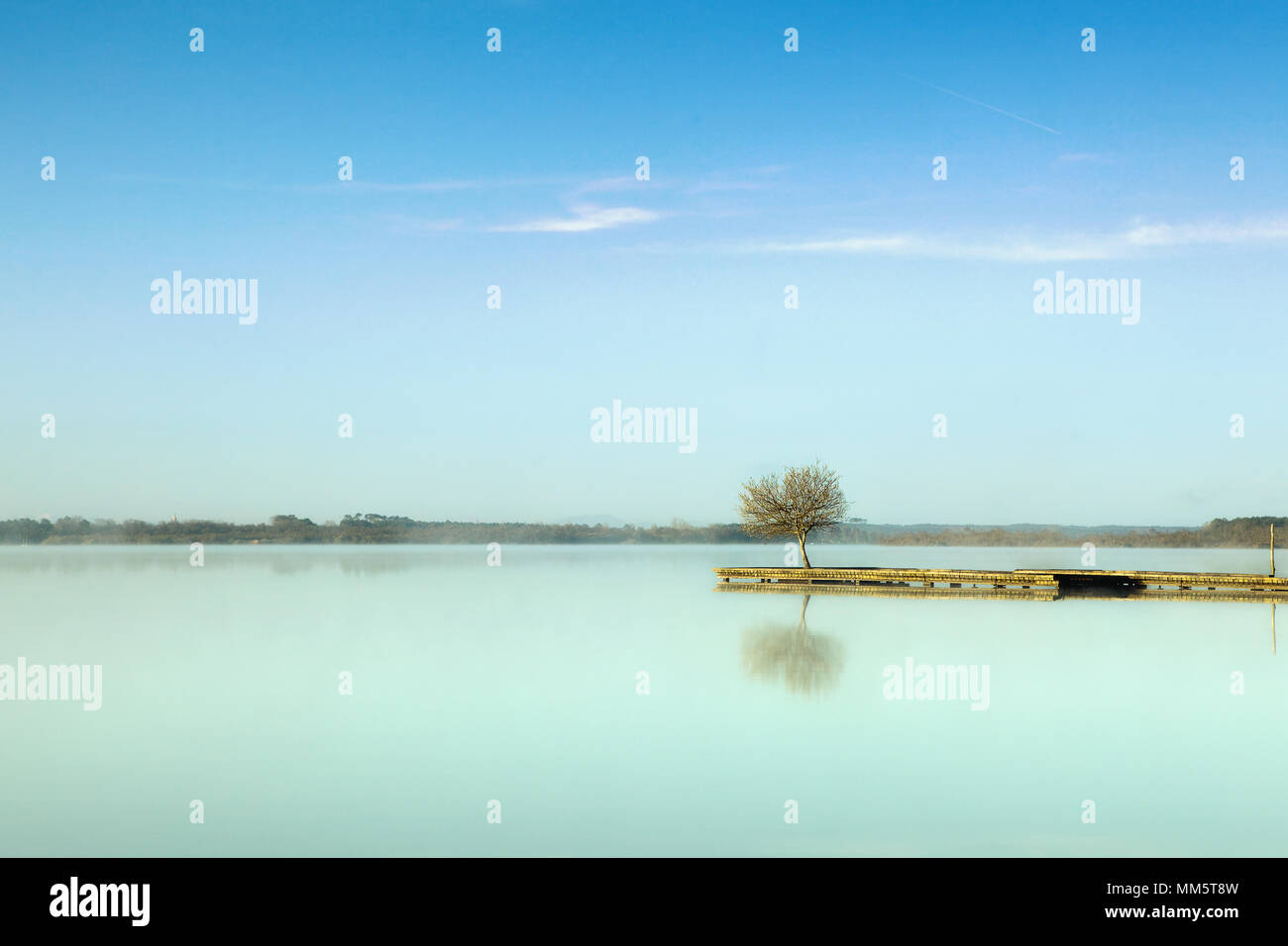 Rustic jetty on a zen-like idyllic lake in Aquitaine, France Stock ...