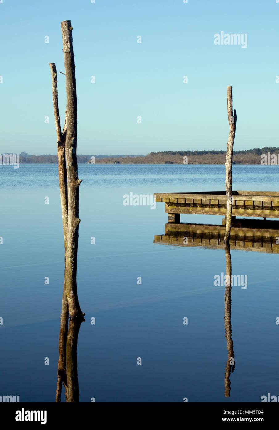 Rustic jetty on a zen-like idyllic lake in Aquitaine, France Stock ...