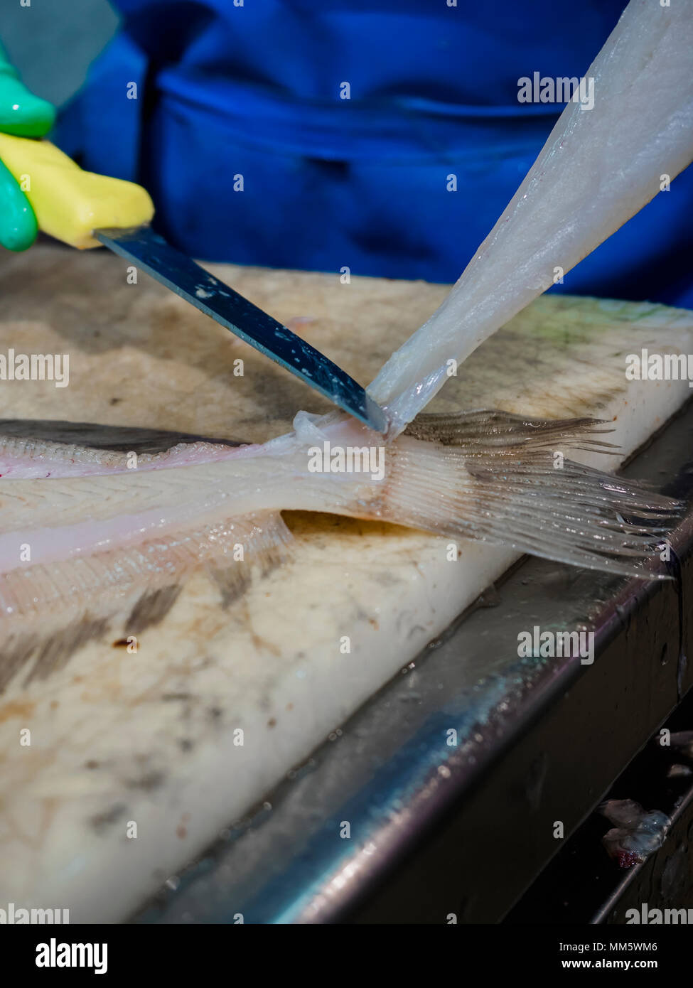 Man preparing fish with knife Stock Photo - Alamy
