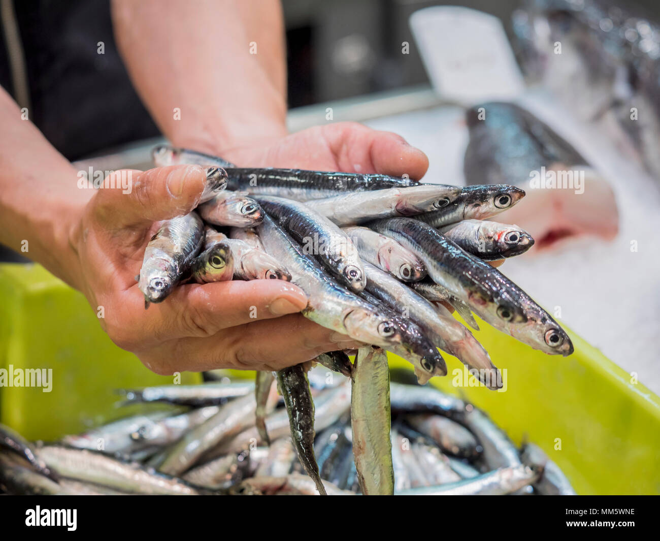 Anchovy spain hi-res stock photography and images - Alamy