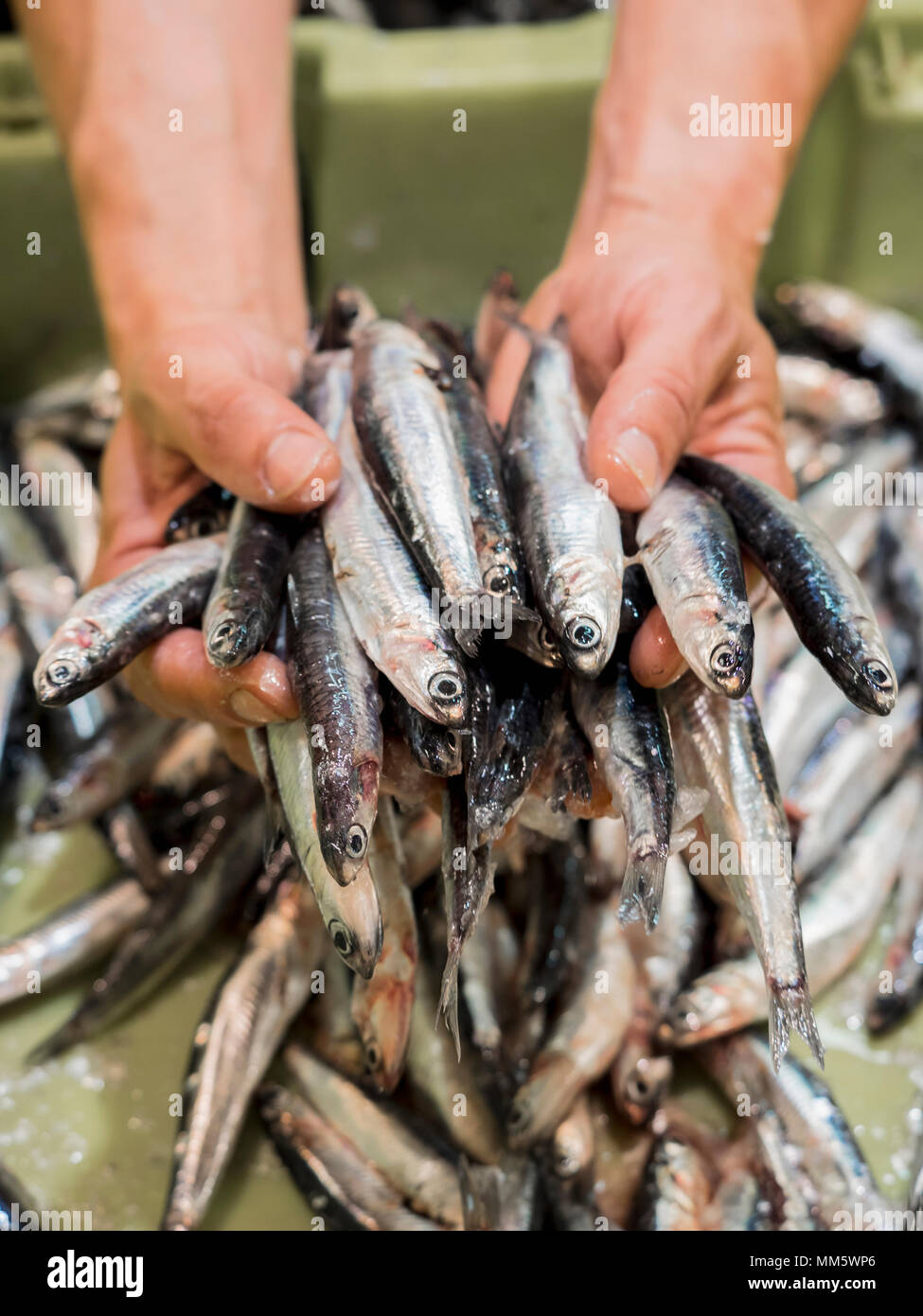 Anchovy vendor hi-res stock photography and images - Alamy