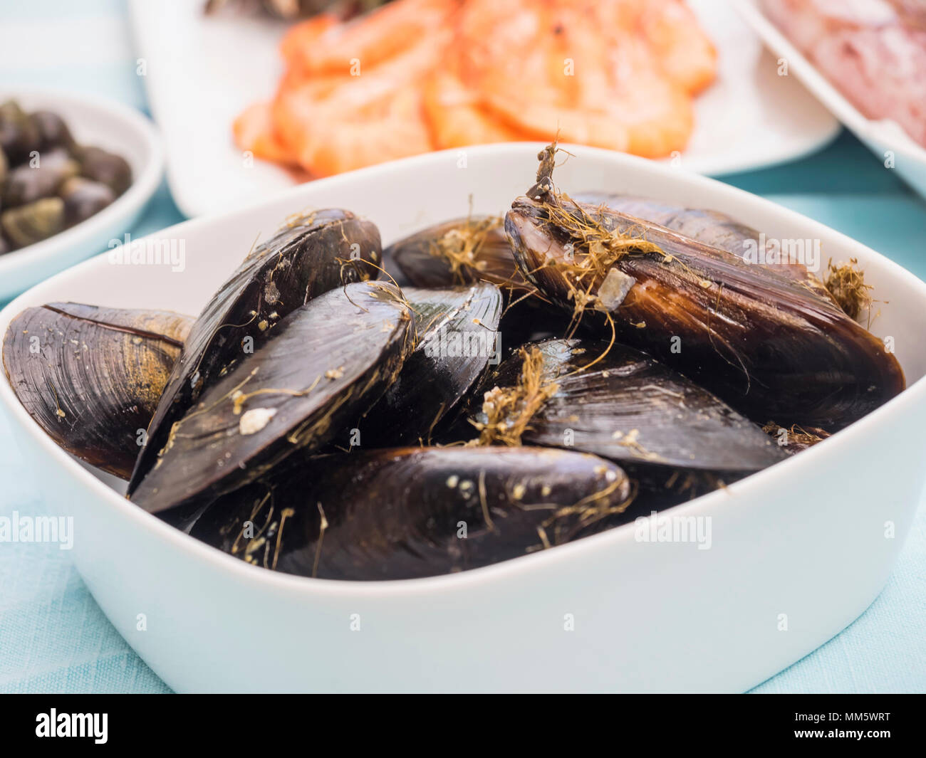 Fresh Spanish seafood Stock Photo - Alamy