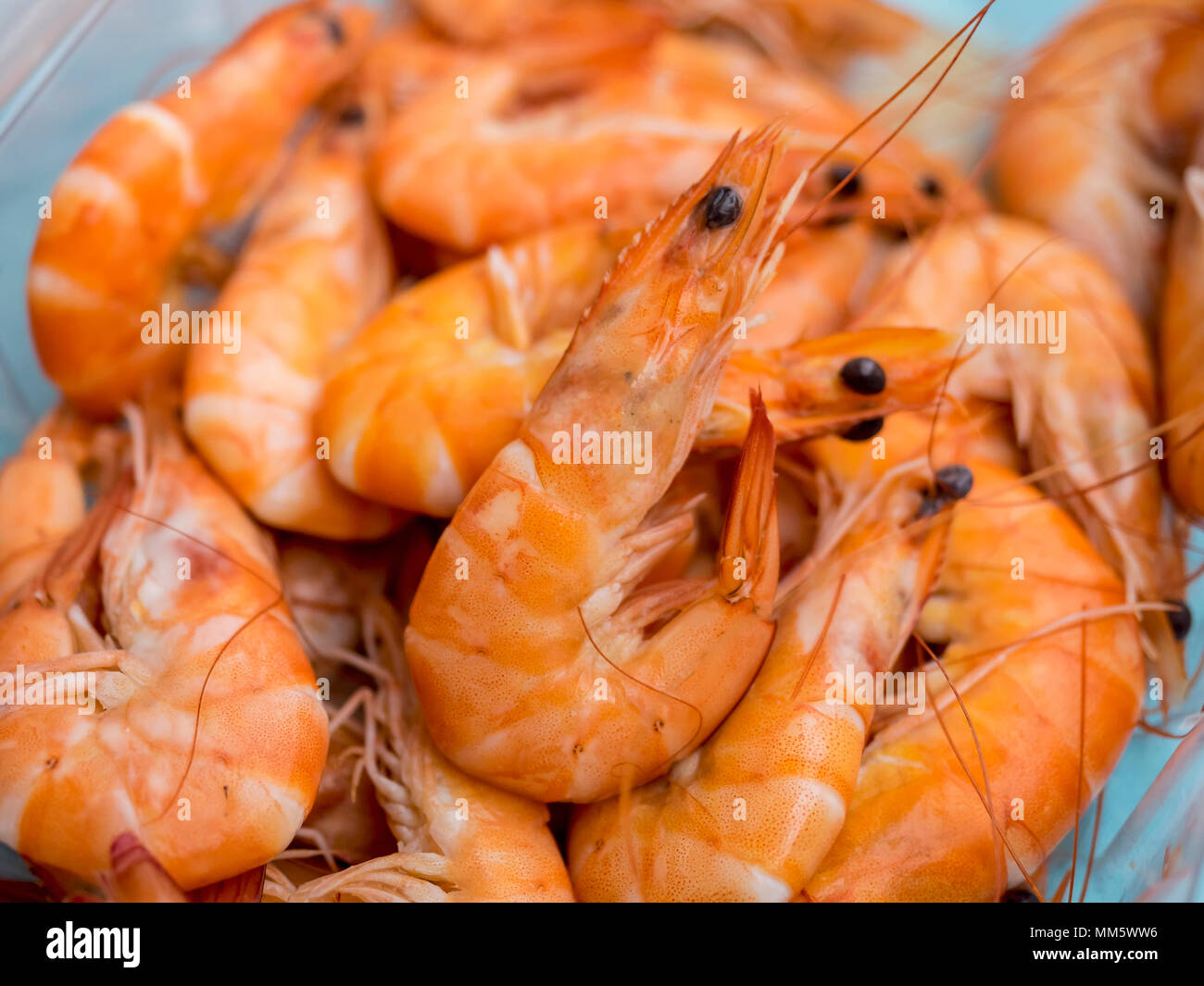 Close-up of fresh prawns Stock Photo - Alamy