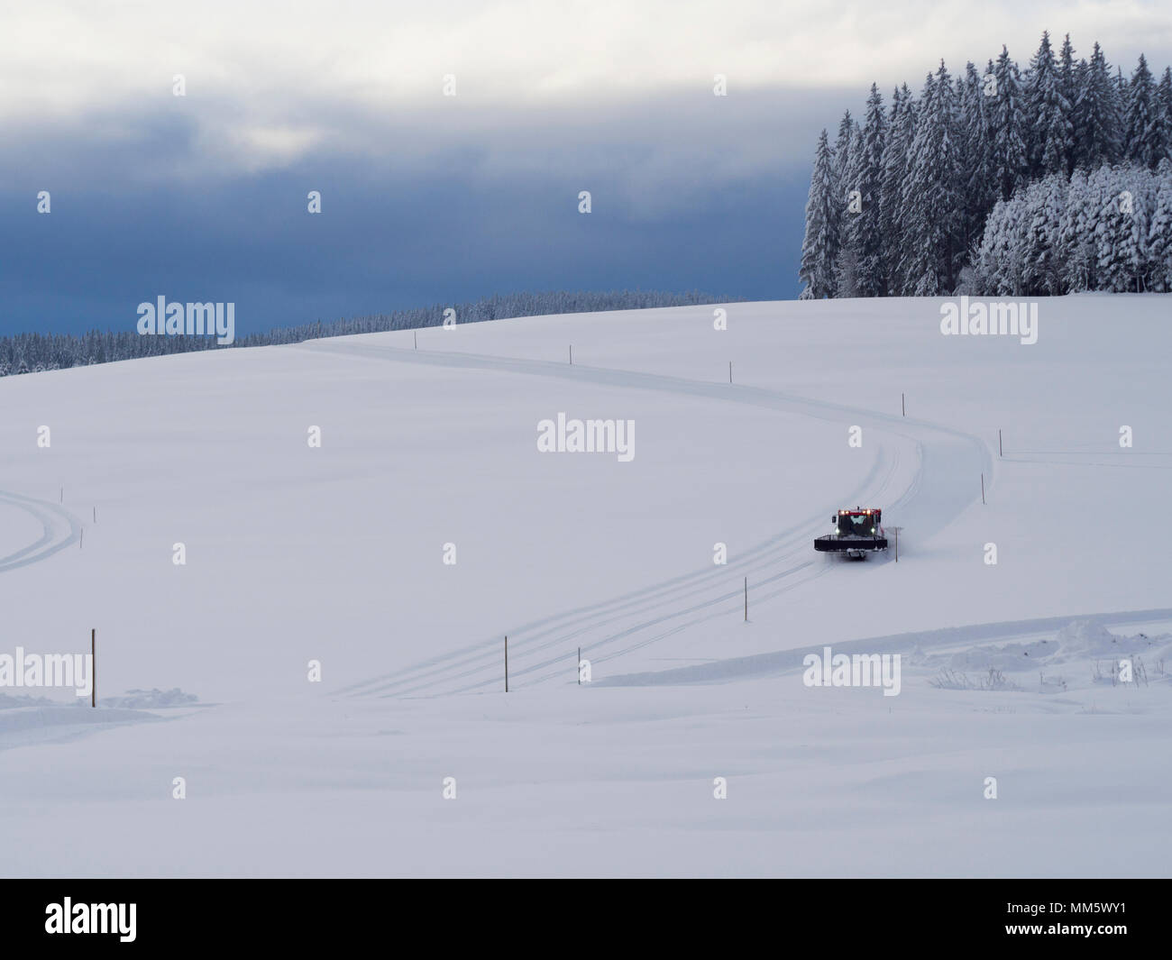 Track-setter preparing ski track Thurnerspur in the Black Forest near ...