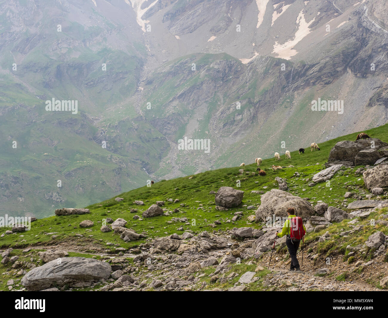 Woman hiking in the High Pyrenees descending from Hourquette d'Alans ...