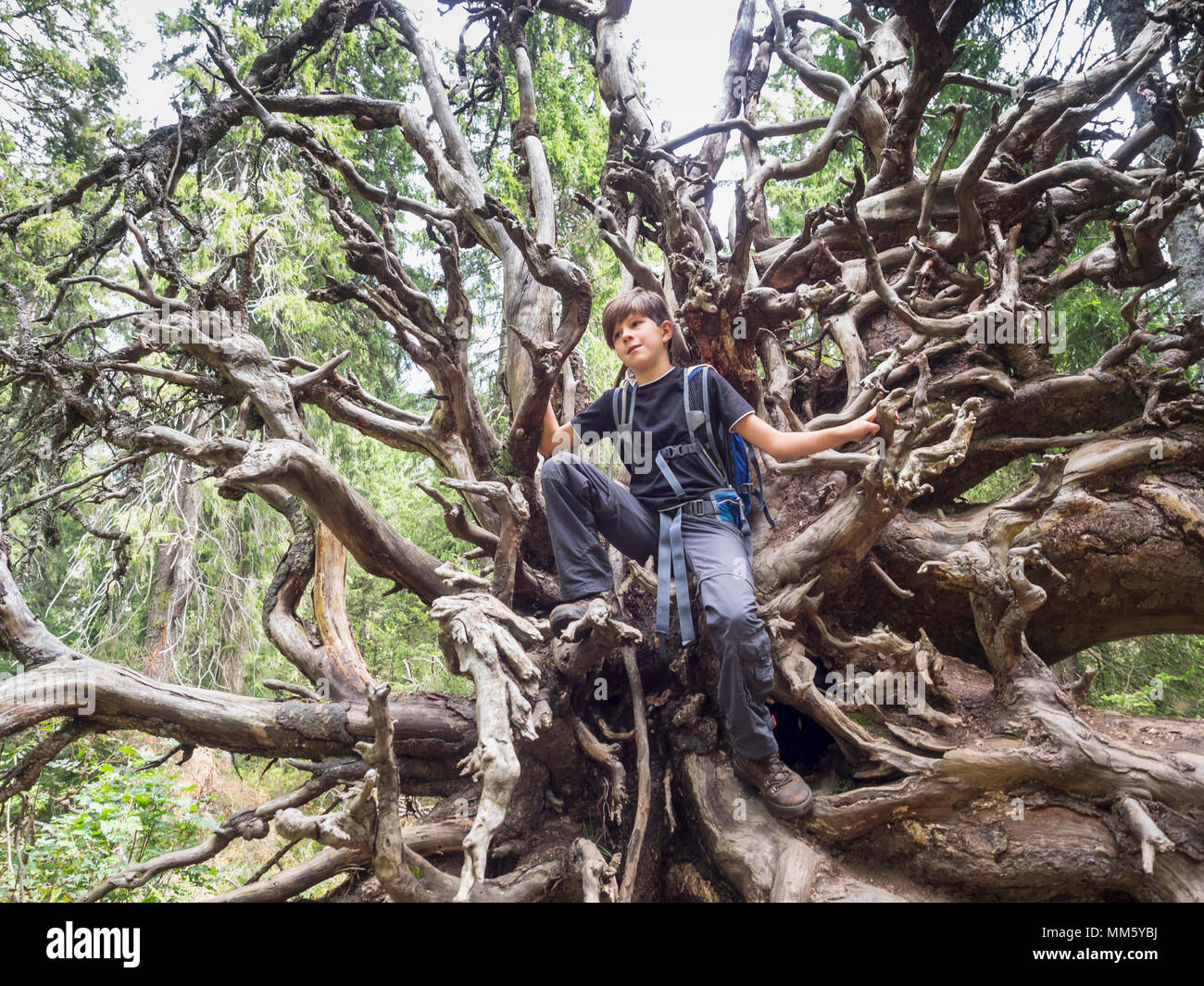 Girl sitting in roots hi-res stock photography and images - Alamy