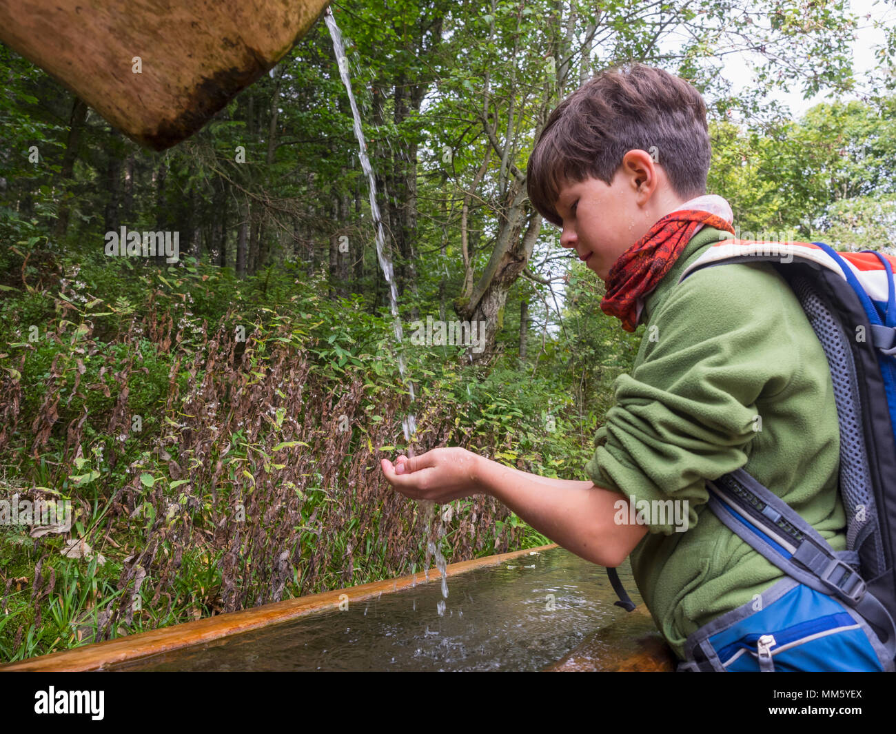 Girl drinking water from source in black forest, Feldberg, Baden ...