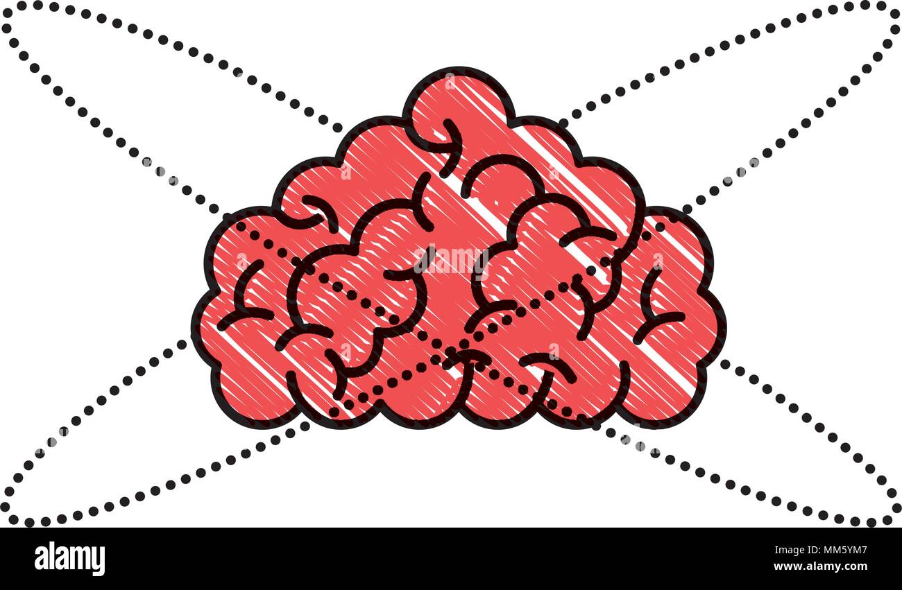 school science brain education image vector illustration drawing Stock ...