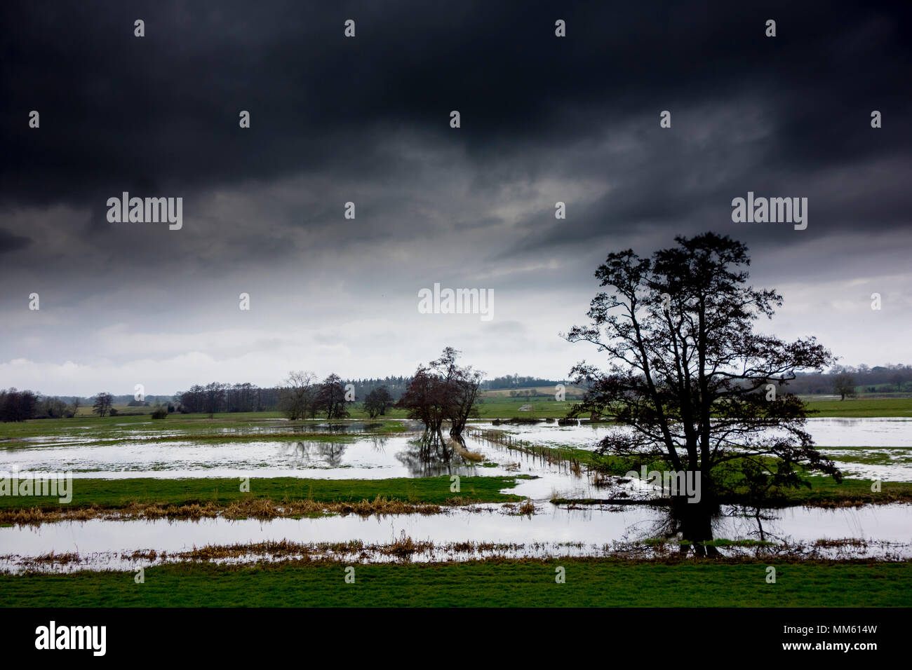 Suffolk border hi-res stock photography and images - Alamy