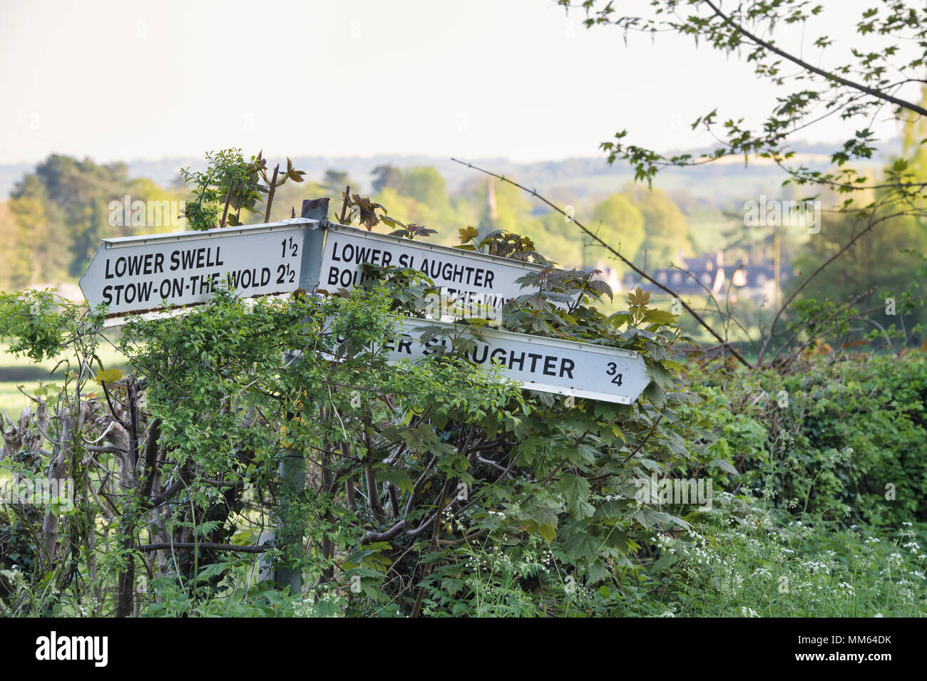 Upper and Lower Slaughter signpost in spring. Cotswolds ...