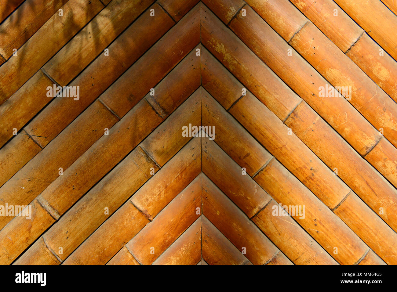Wood node hi-res stock photography and images - Alamy