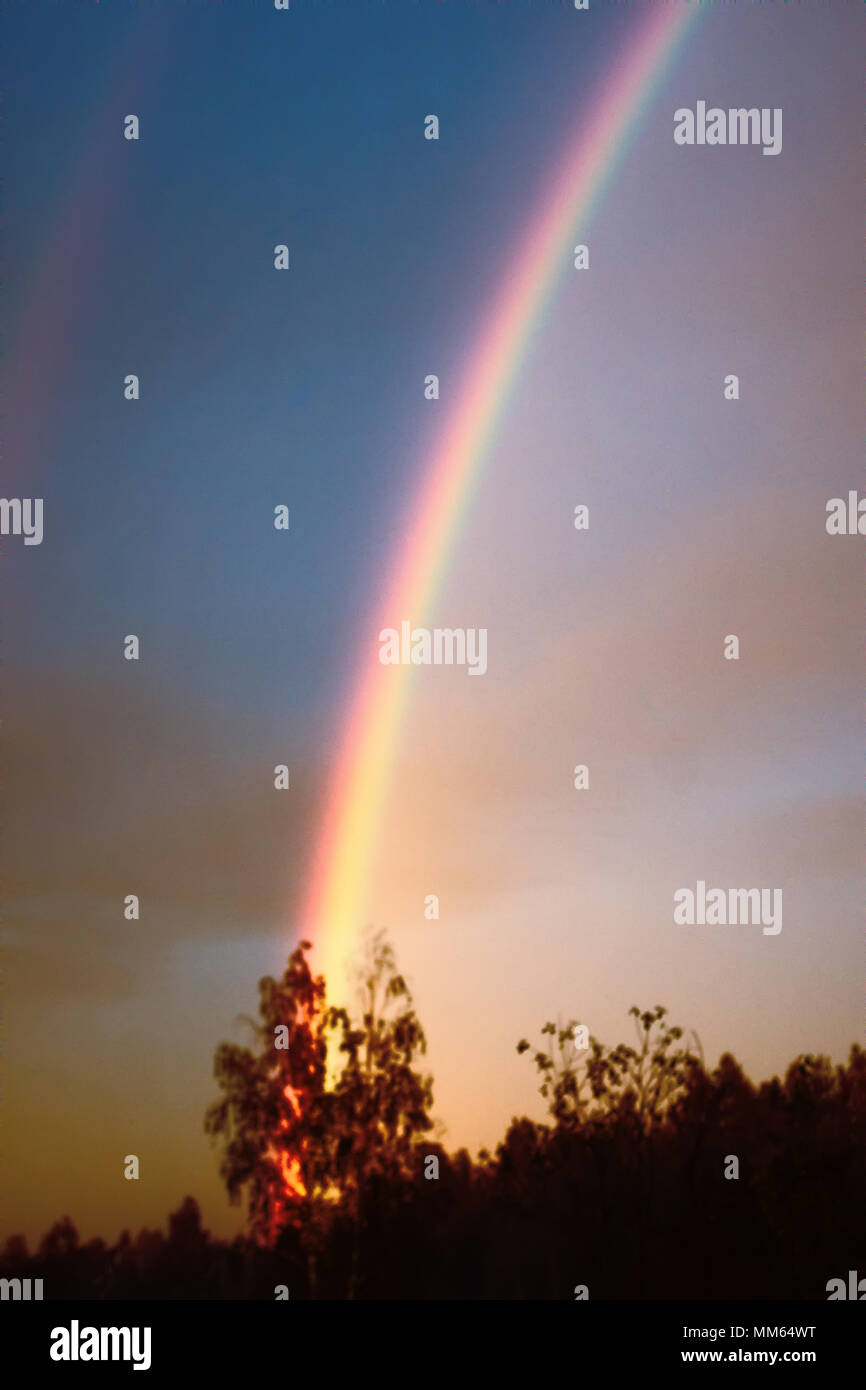 Double rainbow over forest, primary rainbow, second-order rainbow ...