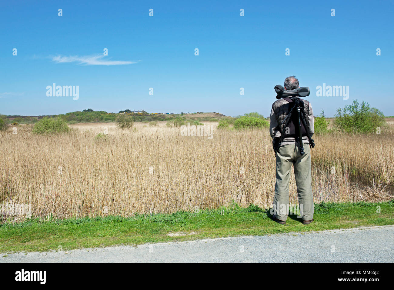 Minsmere, an RSPB nature reserve, Suffolk, England UK Stock Photo - Alamy