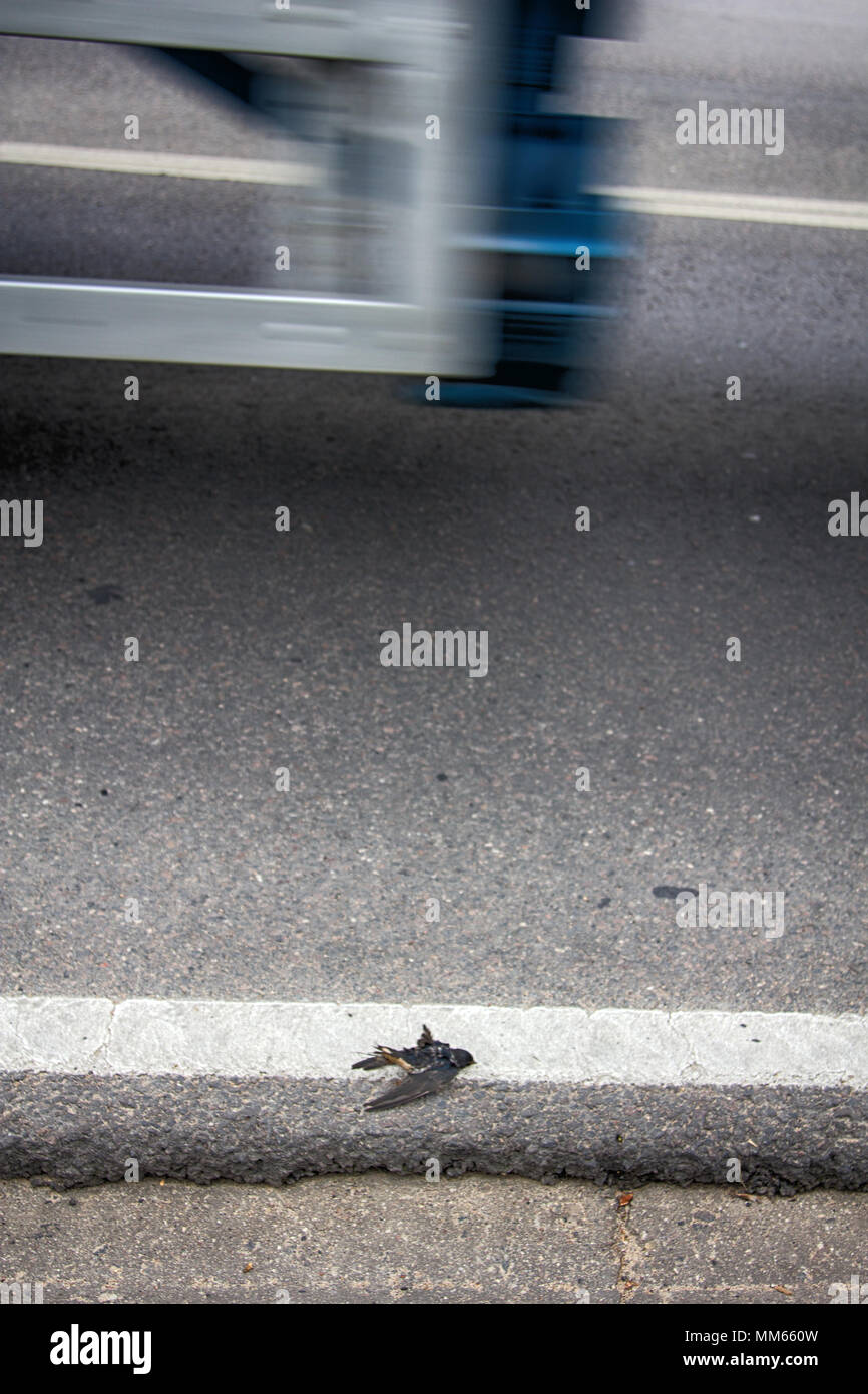 Living beings hi-res stock photography and images - Alamy