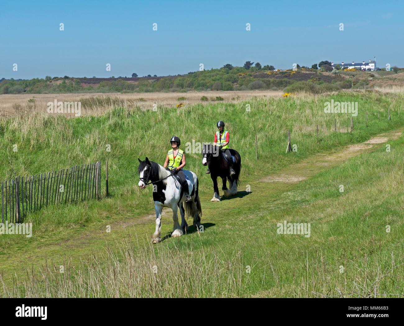 Suffolk horse riding hi-res stock photography and images - Alamy