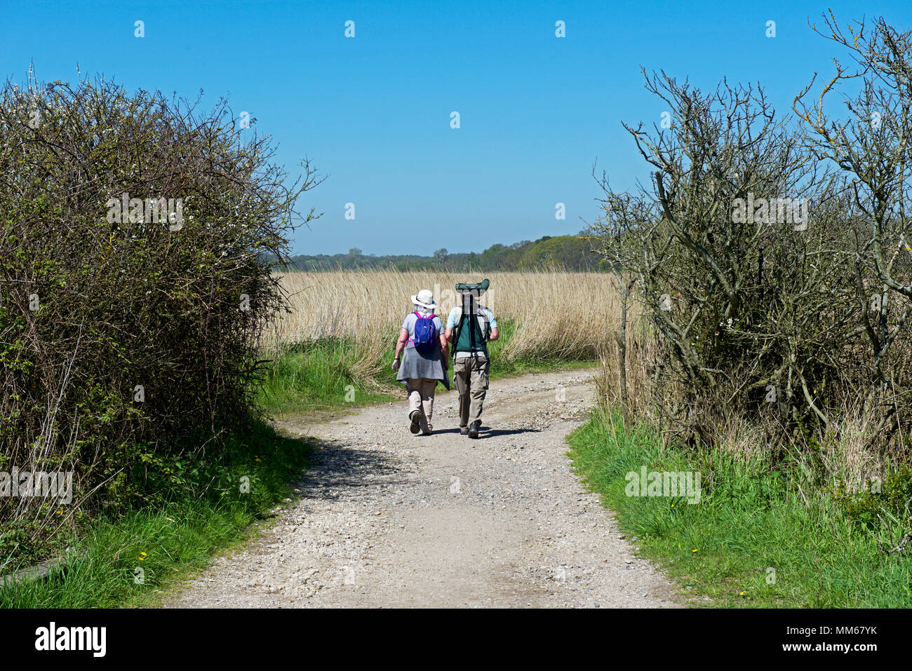 Bird watchers at Minsmere, an RSPB nature reserve, Suffolk, England UK ...