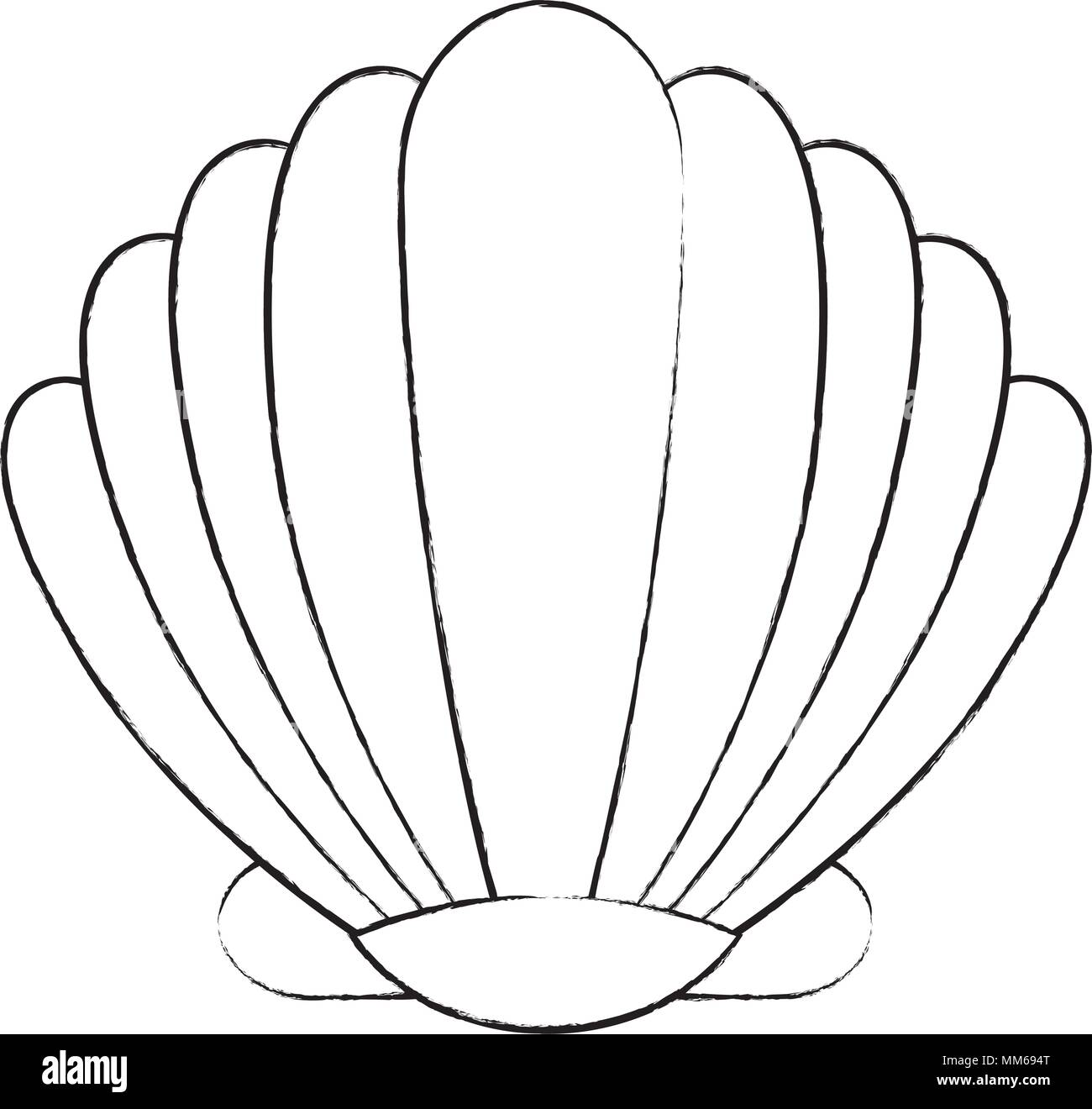 seashell icon over white background, vector illustration Stock Vector ...