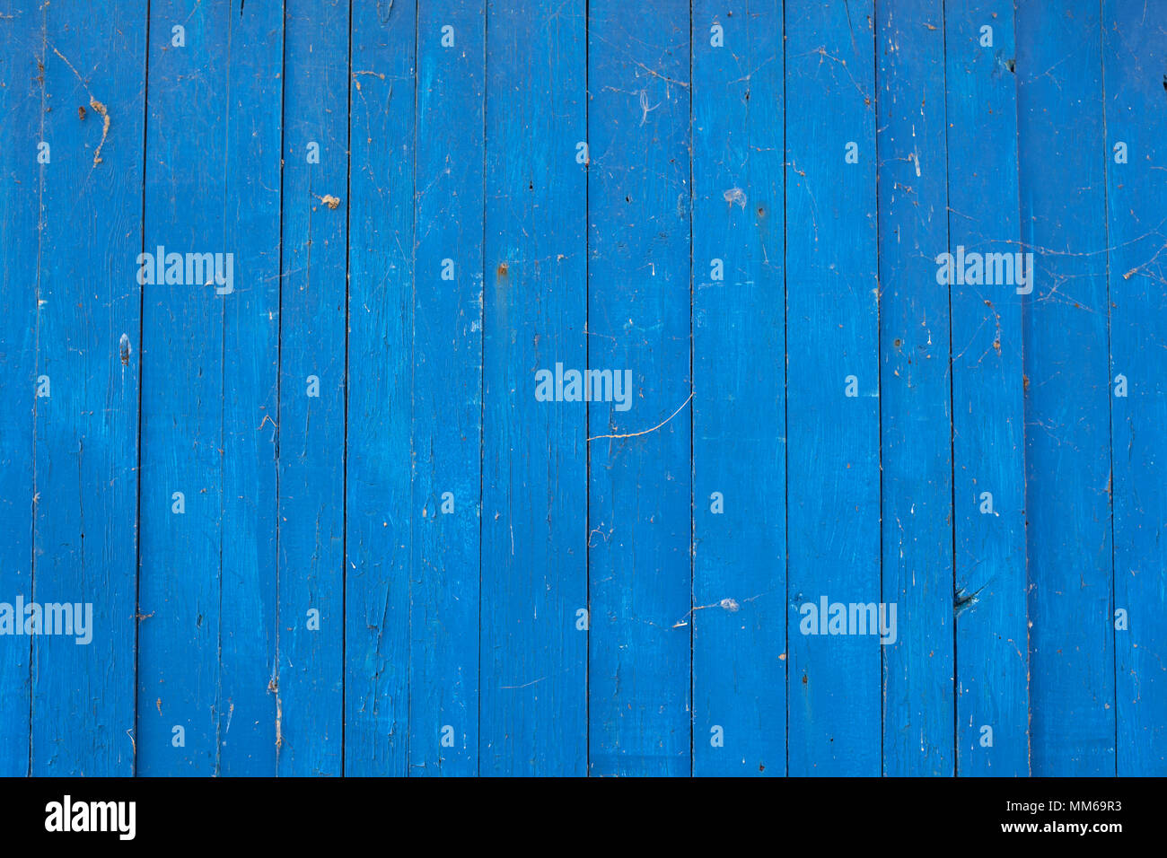 the peeled boards colored blue paint Stock Photo - Alamy