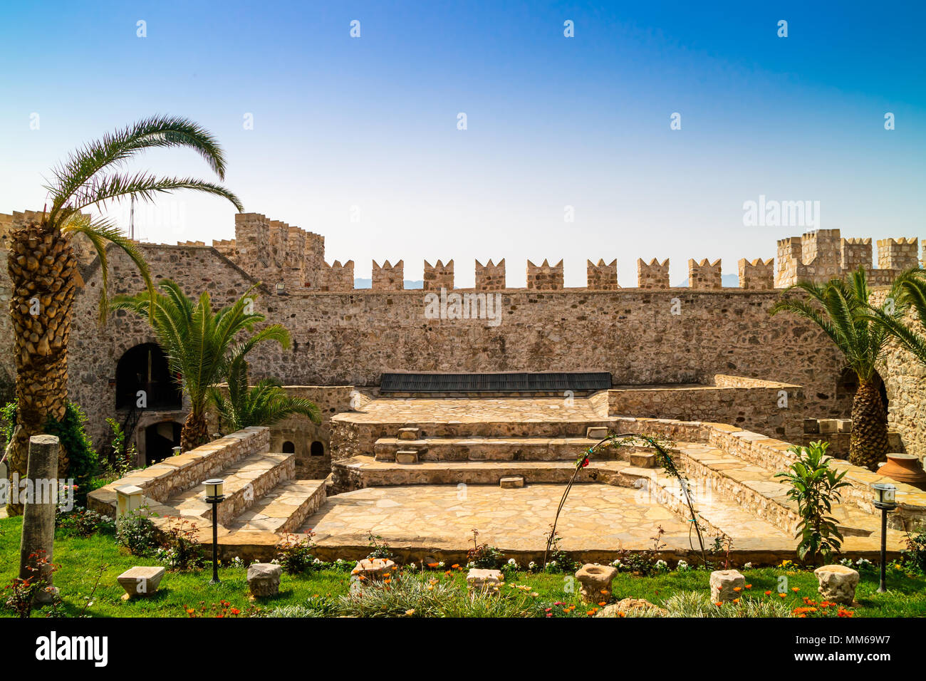 Courtyard with palm tree hi-res stock photography and images - Alamy