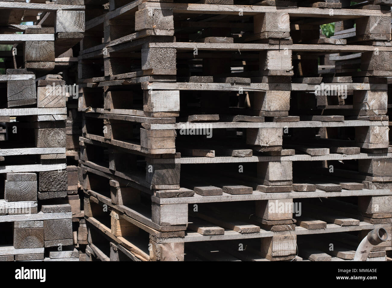 foot of pallets from a tree Stock Photo - Alamy