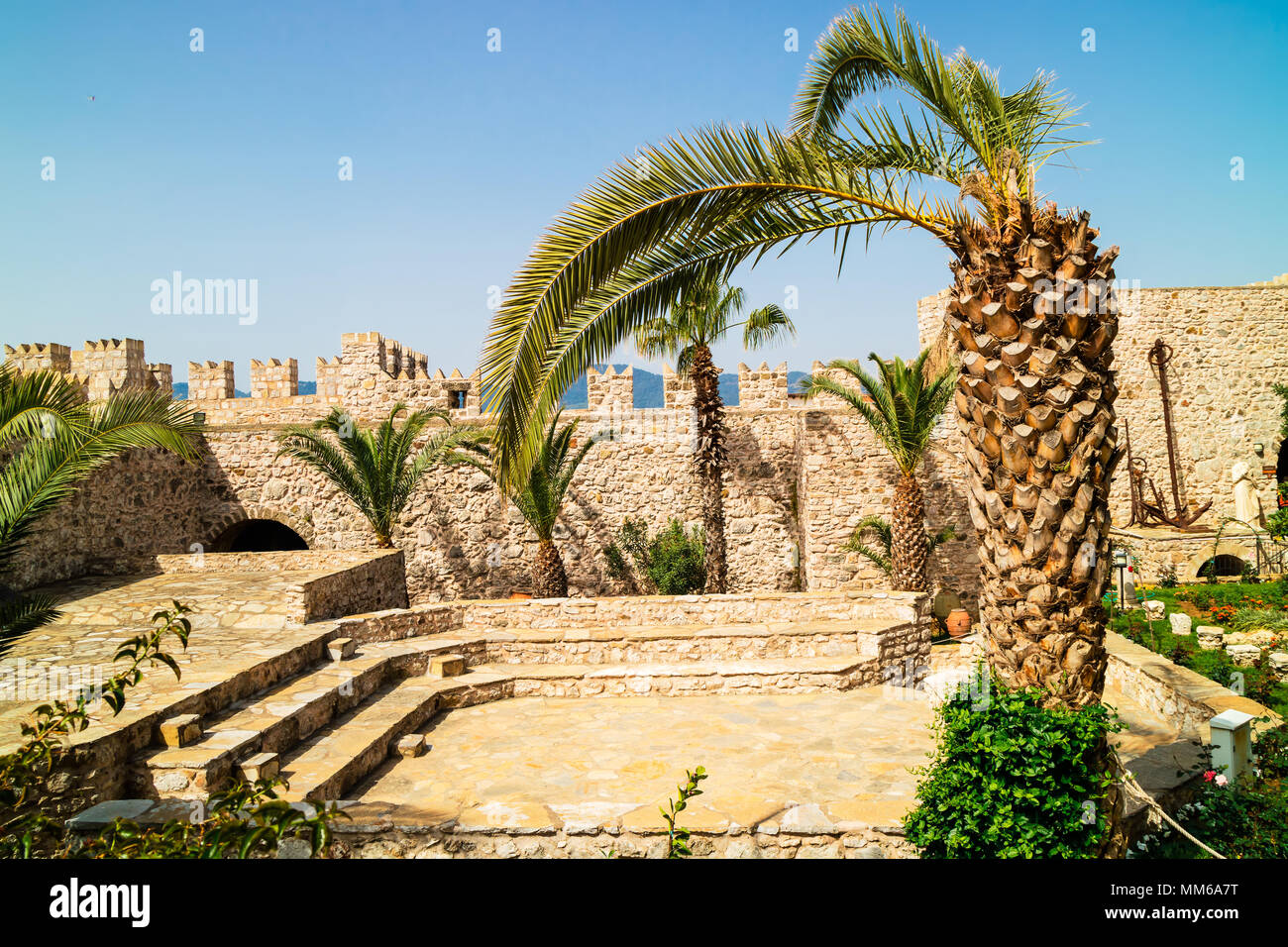 Courtyard with palm tree hi-res stock photography and images - Alamy