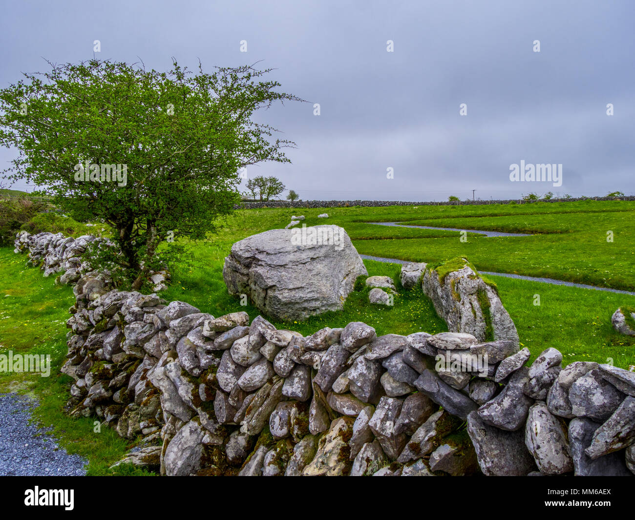 Typical Irish road through the nature Stock Photo - Alamy