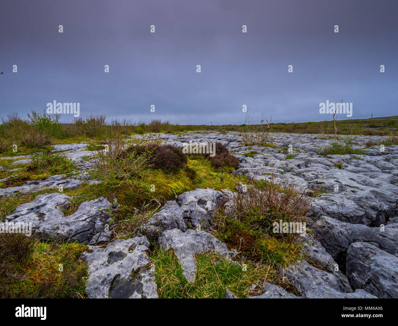 The rocky ground and bizarre stones at the Burren Ireland Stock Photo ...