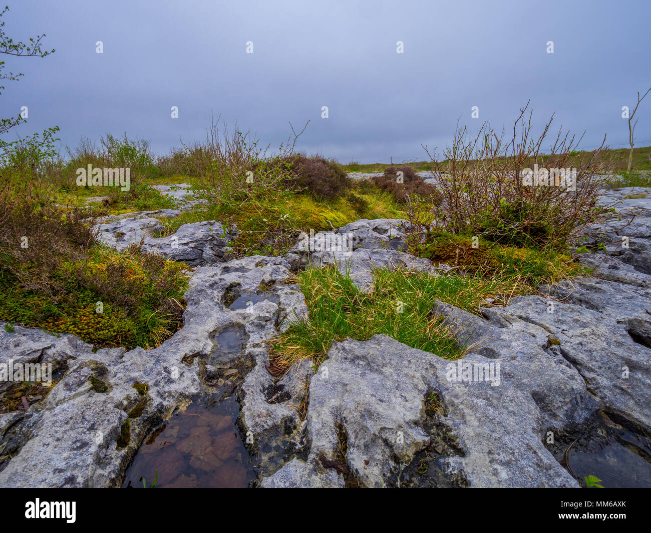 Bizarre stones hi-res stock photography and images - Alamy