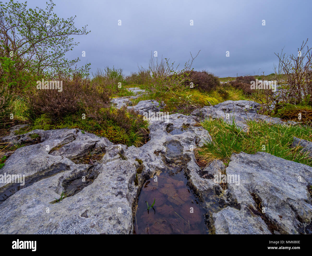 The rocky ground and bizarre stones at the Burren Ireland Stock Photo ...