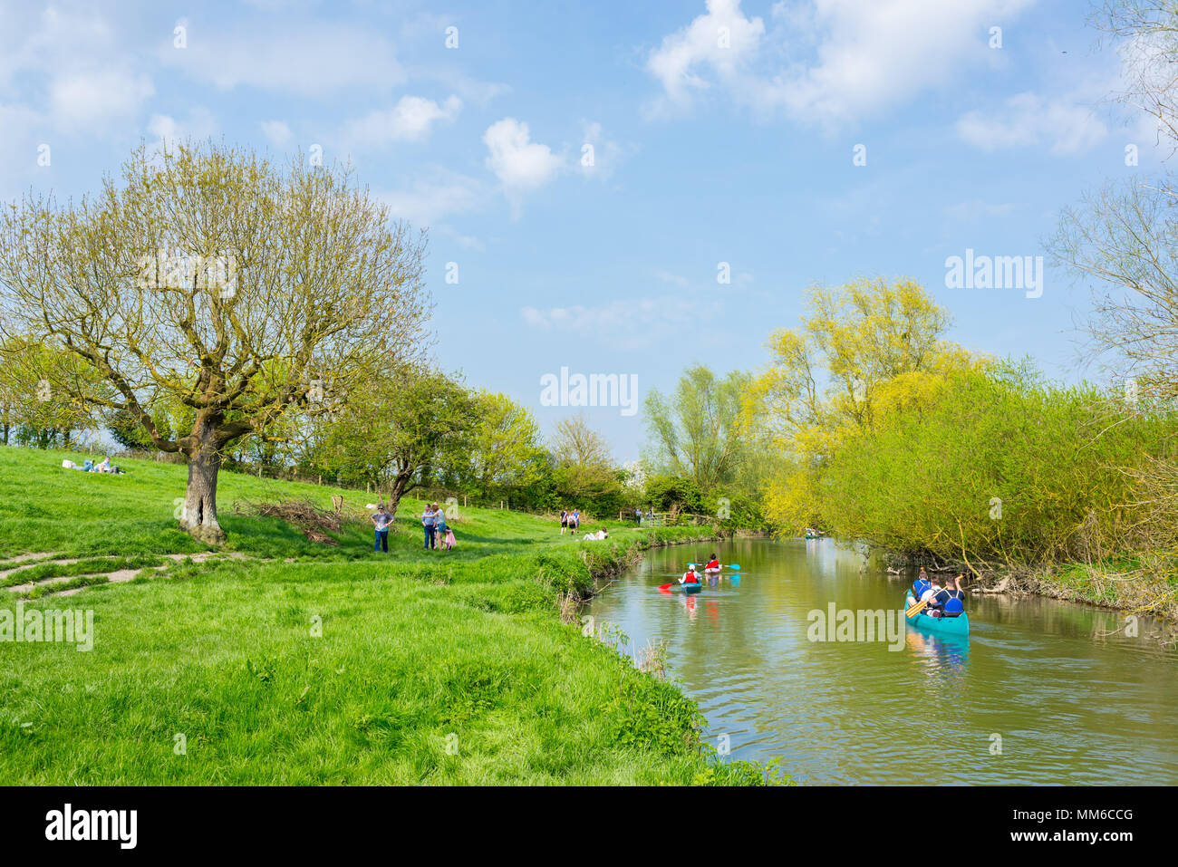 Kayaks and canoes on th river and people relaxing on the shores in ...