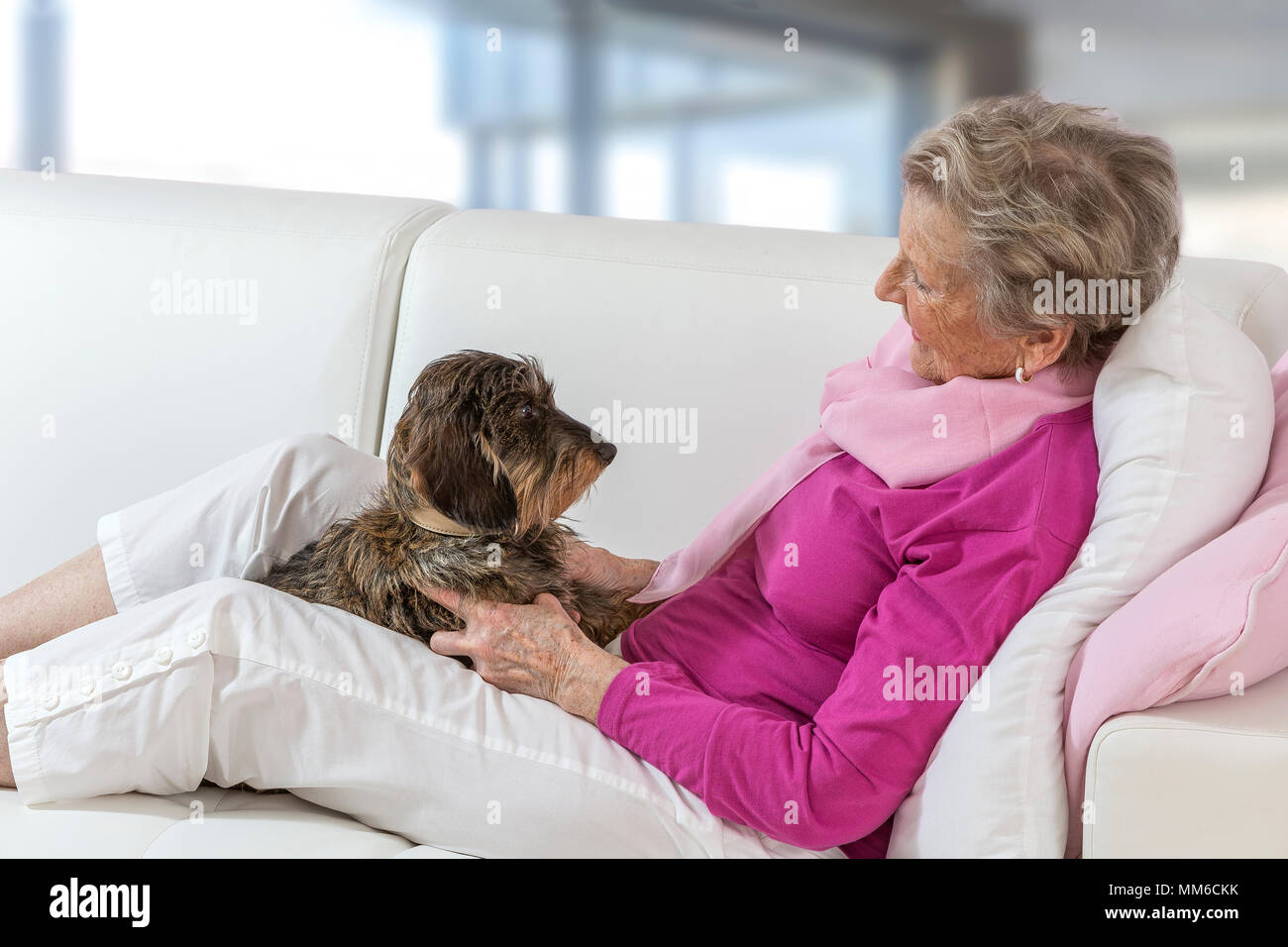 Senior animal hi-res stock photography and images - Alamy