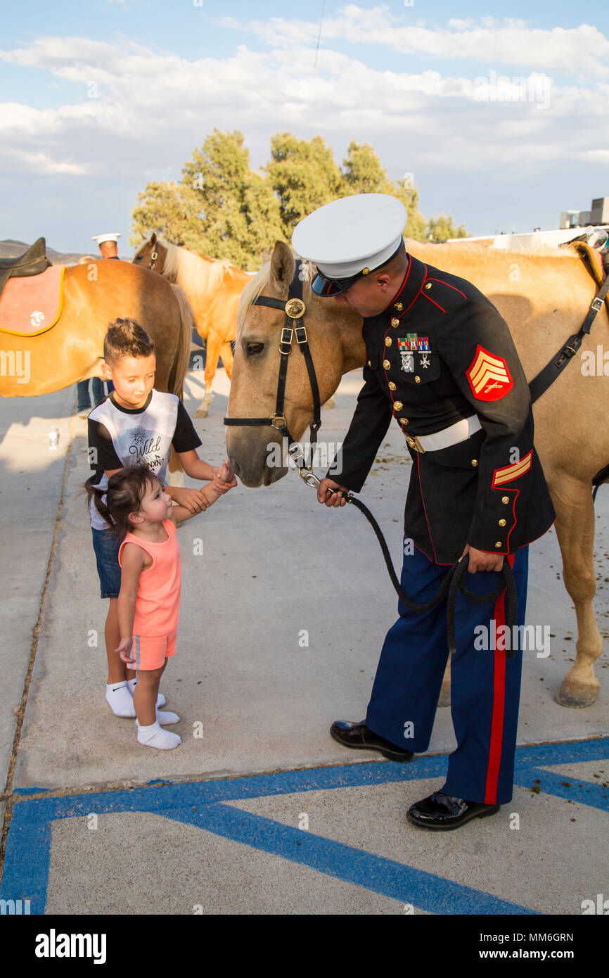 Stableman hi-res stock photography and images - Alamy