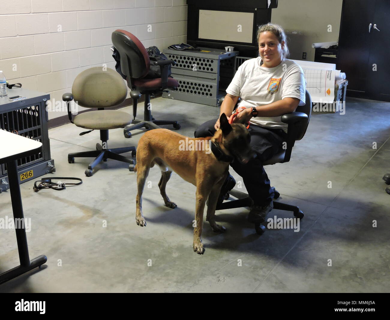 FEMA urban search and rescue task force teams from New York, Virginia ...