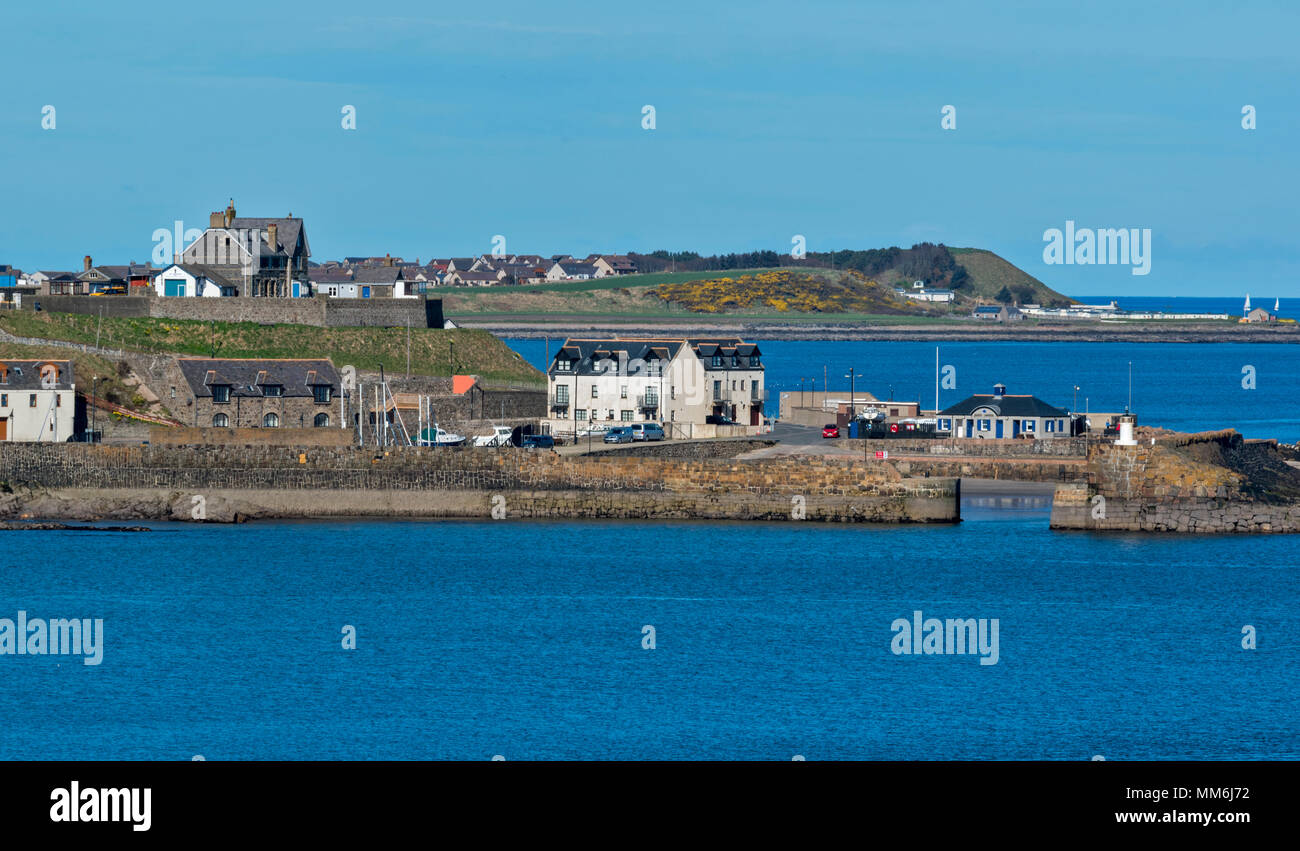 Picturesque scottish harbour hi-res stock photography and images - Alamy