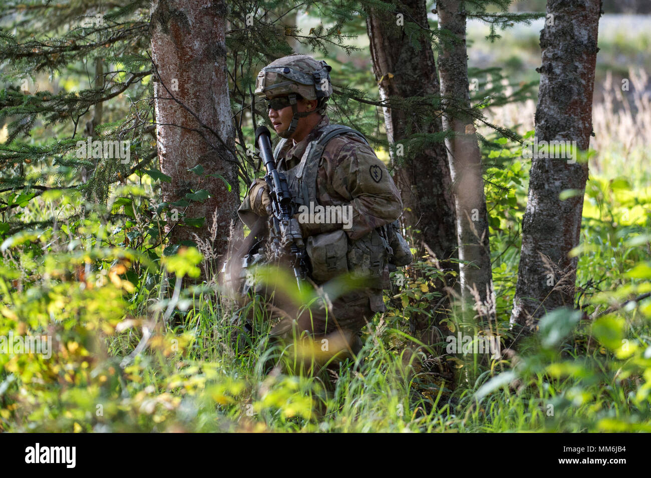 A Soldier assigned to Charlie Company, 1st Battalion, 5th Infantry ...