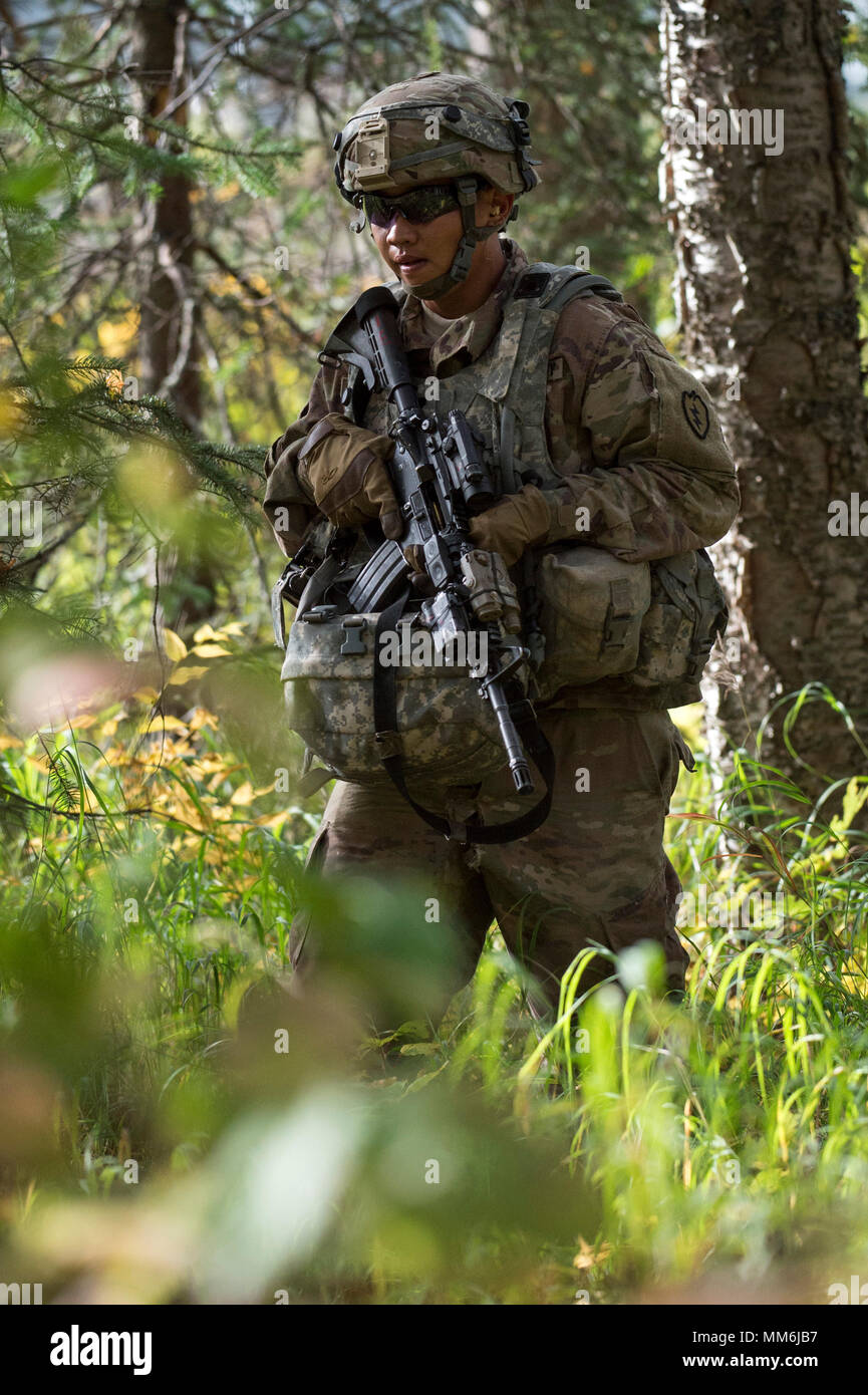 A Soldier assigned to Charlie Company, 1st Battalion, 5th Infantry ...