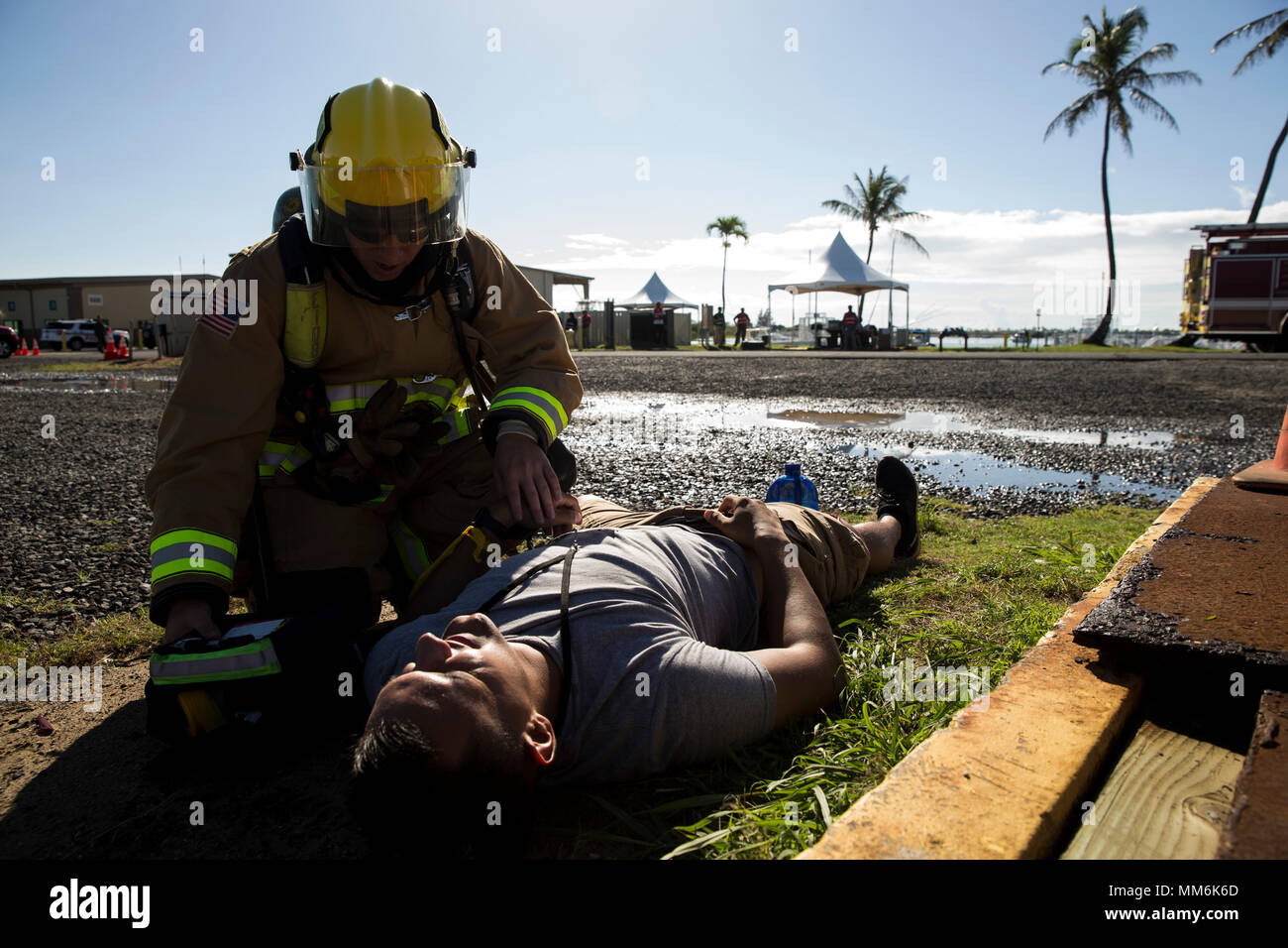 Casualty of an oil spill hi-res stock photography and images - Alamy