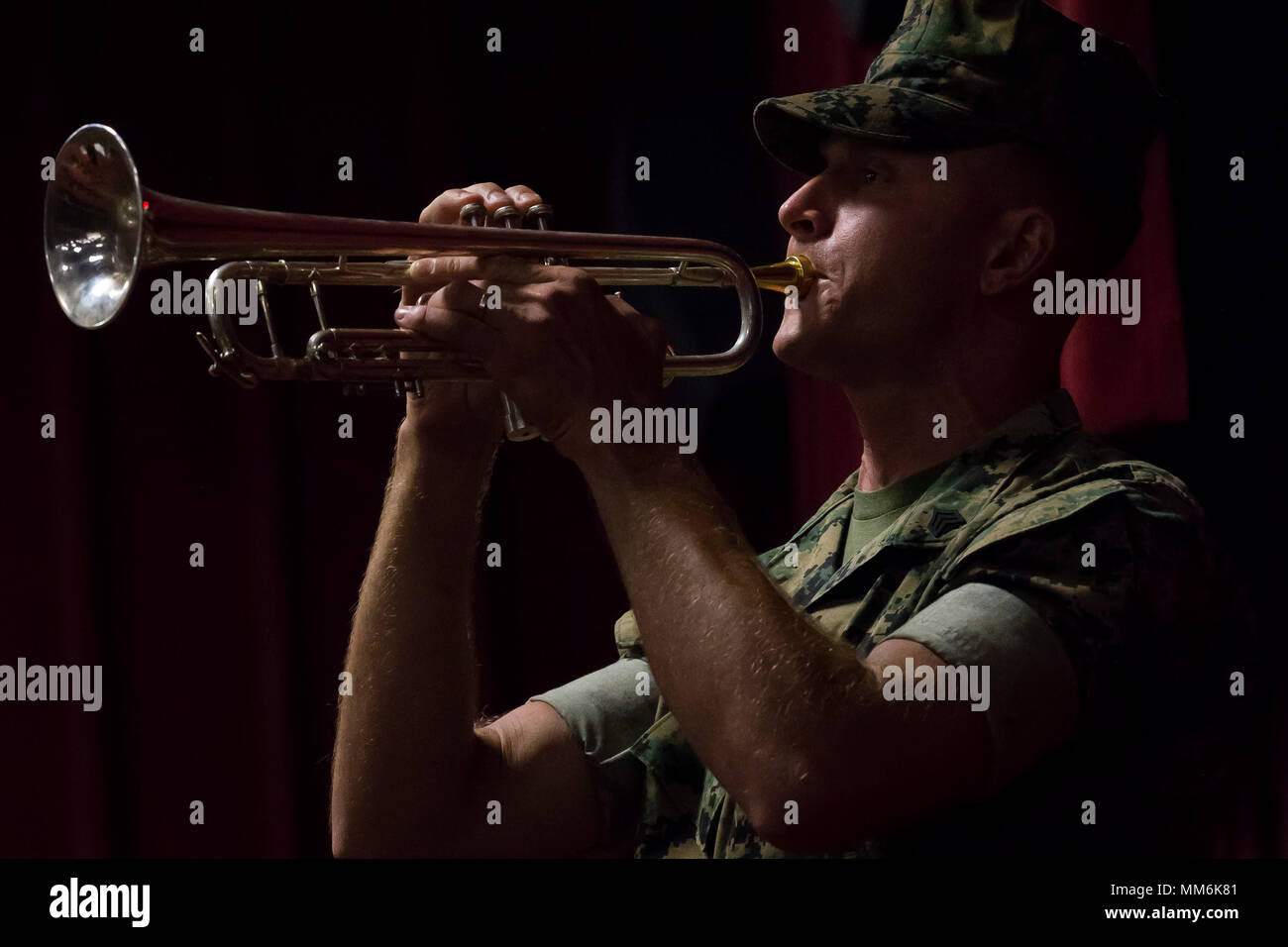 U.S. Marine Sgt. Aaron Carpenter, musician, Marine Corps Forces ...