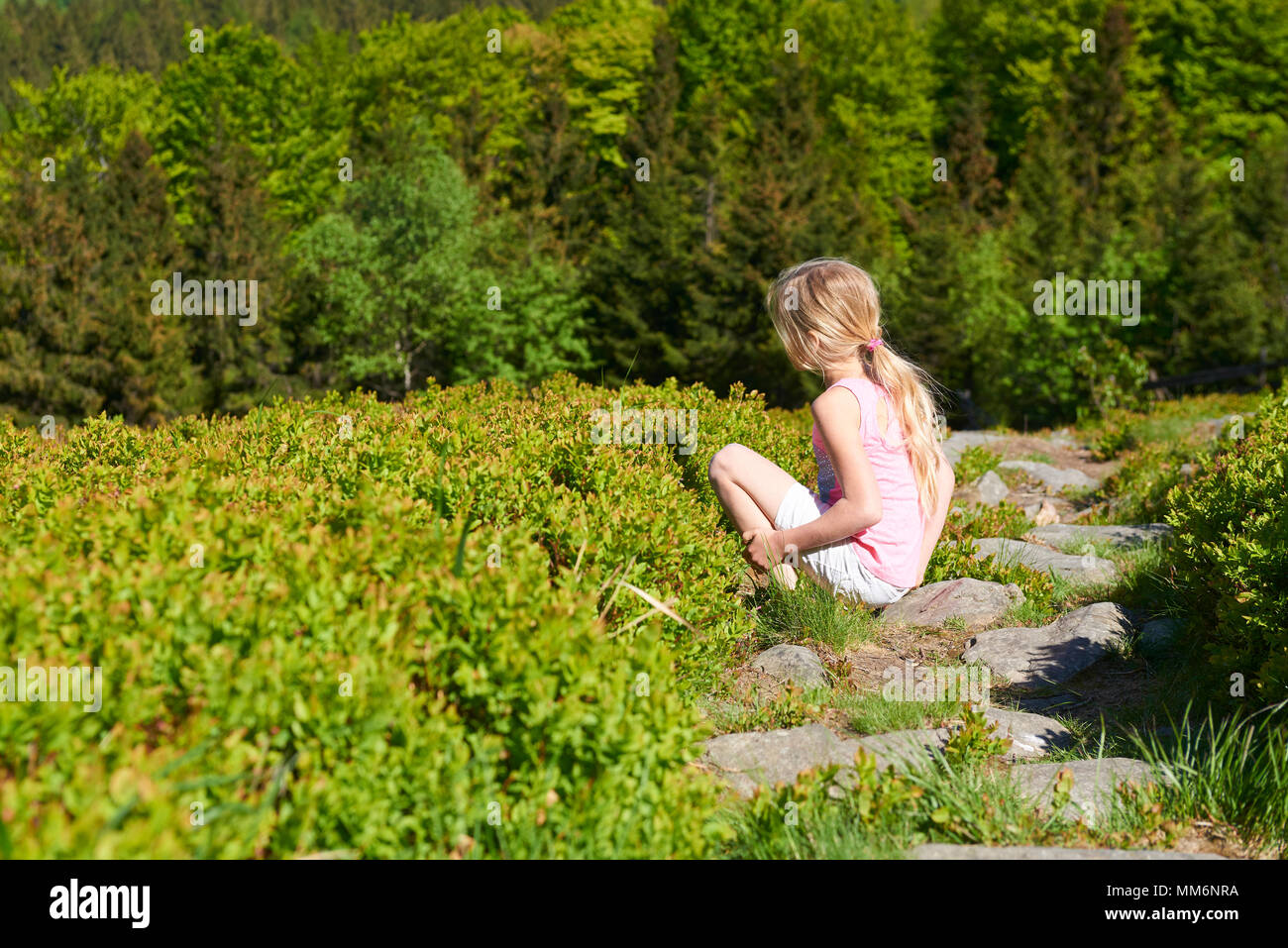 Child blond little girl picking fresh berries on blueberry field in ...