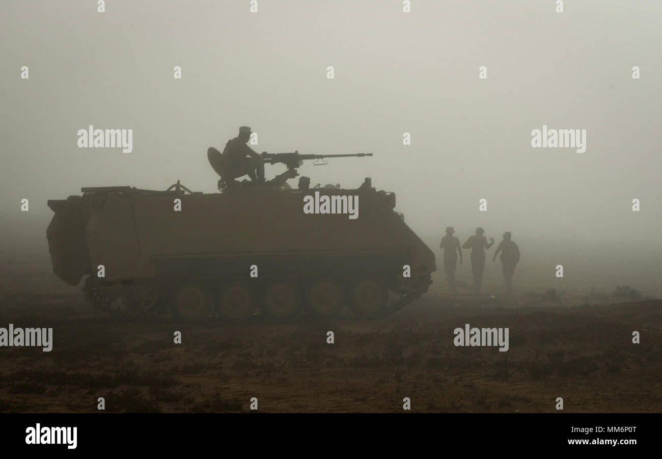 Egyptian soldiers participate in a field training exercise with their U ...