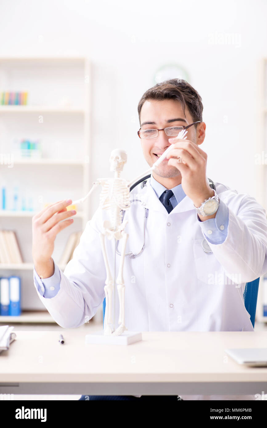 Doctor explaining human body on skeleton Stock Photo - Alamy