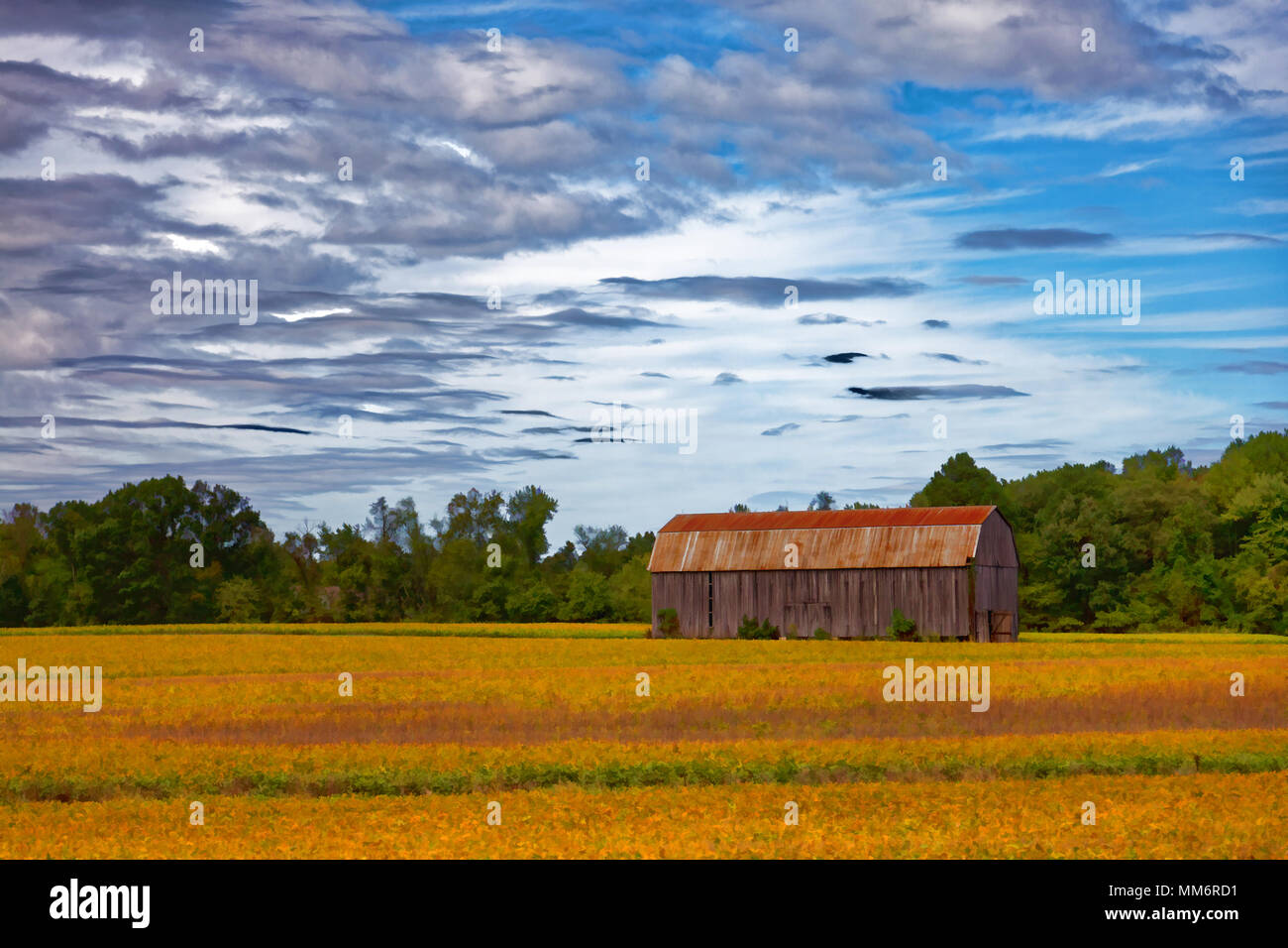Fall soybean field with weathered barn. Callaway, Maryland. Photoshop ...