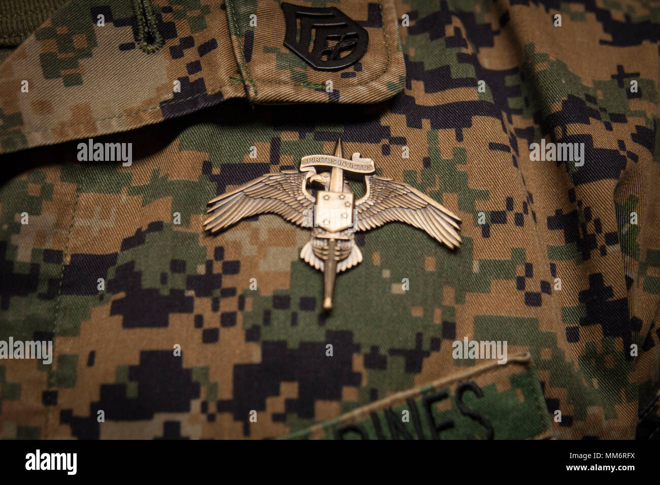 A recruiter with the U.S. Marine Corps Forces Special Operations ...