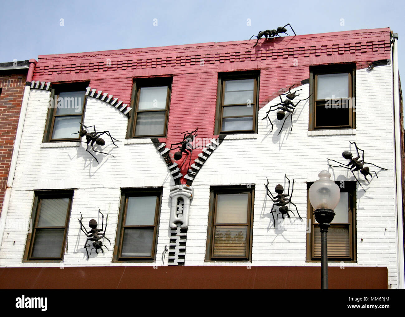 OMG ANTS! The Zipperhead store at 4th and South in Philadelphia is a ...