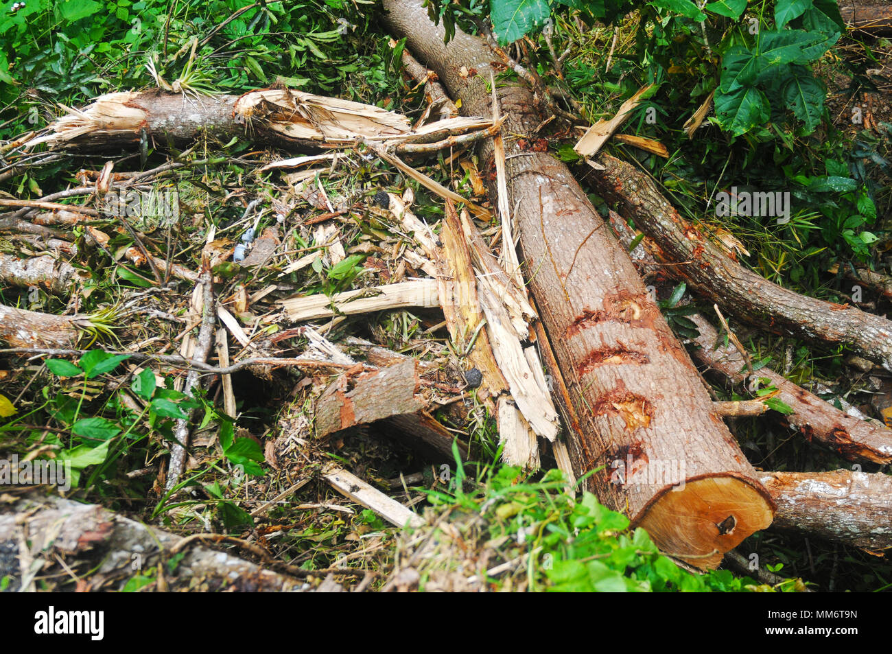 Highway 10 puerto rico hi-res stock photography and images - Alamy