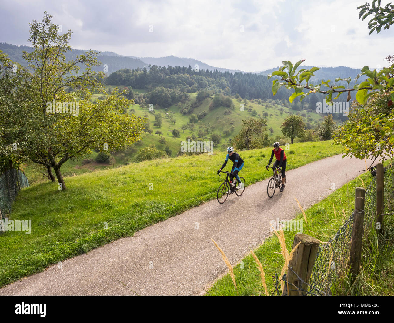 Two men riding racing bicycle on cycling tour in the Black Forest ...