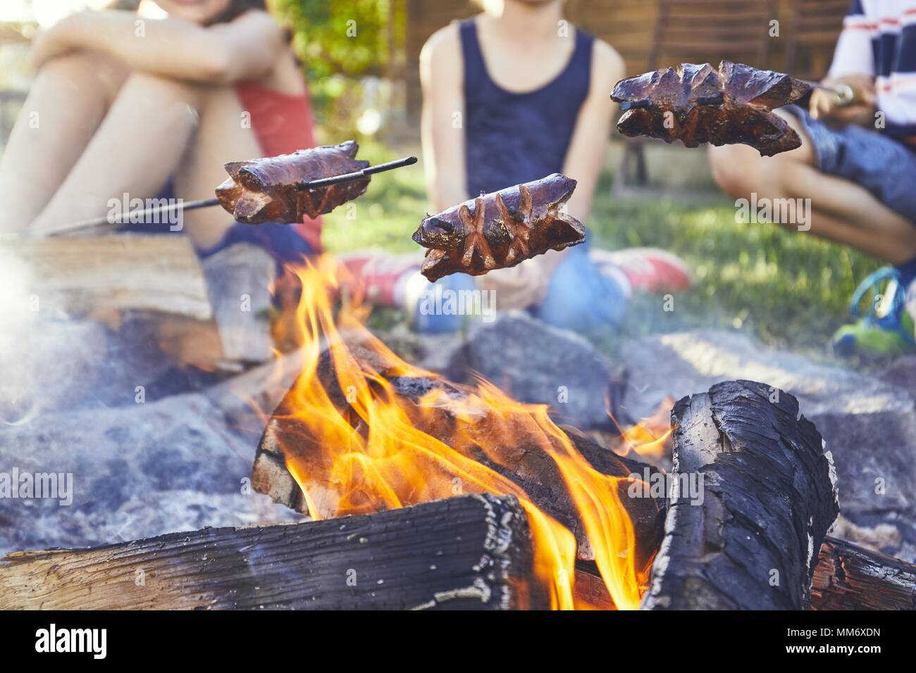 Children enjoy campfire. Girls (family) toasting sausages on the garden ...